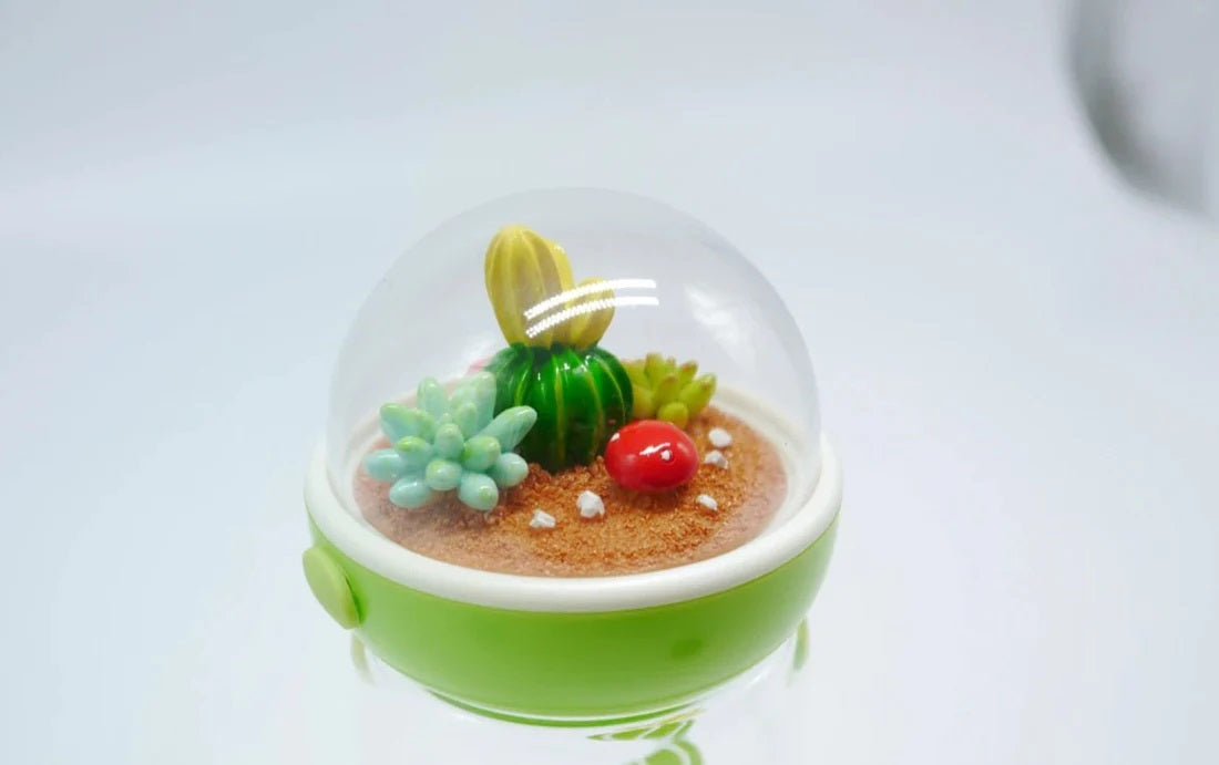 Cactus Dome Glass Waterbottle – Pink House Boutique